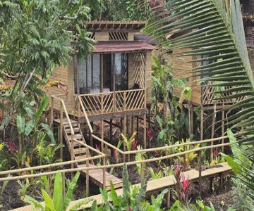 Pacific Nuqui Lodge en Nuquí: Opiniones, Fotos y Precios 2025
