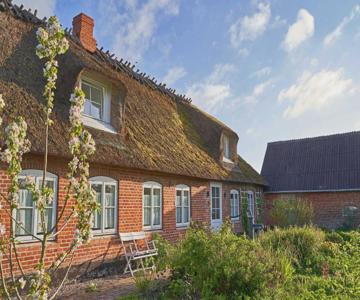 Reetdachhaus De Ole Kaat, Niesgrau - Amimir.com