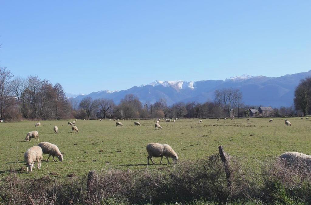 Gîtes L'escargot Bleu - Pyrénées-Atlantiques